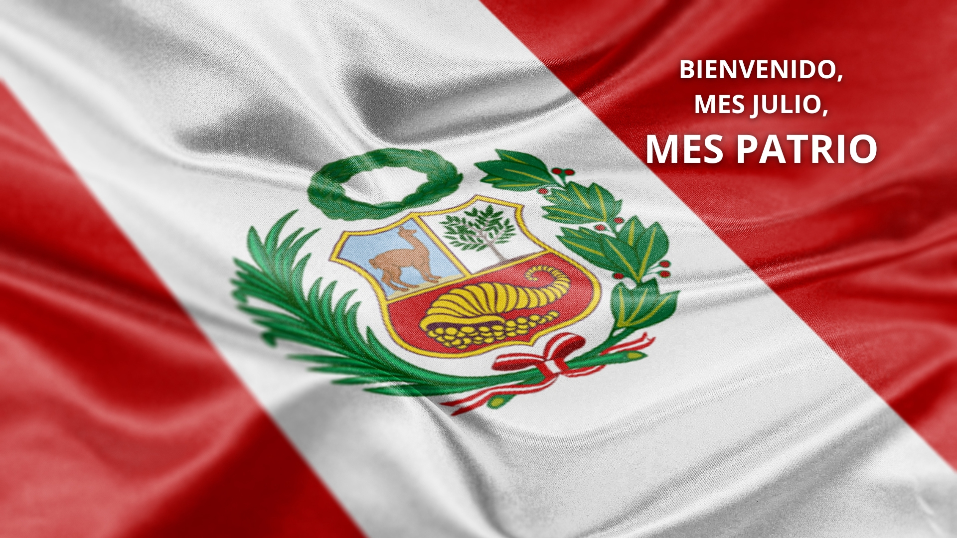 CUBICOL - COLEGIO FRAY MARTIN